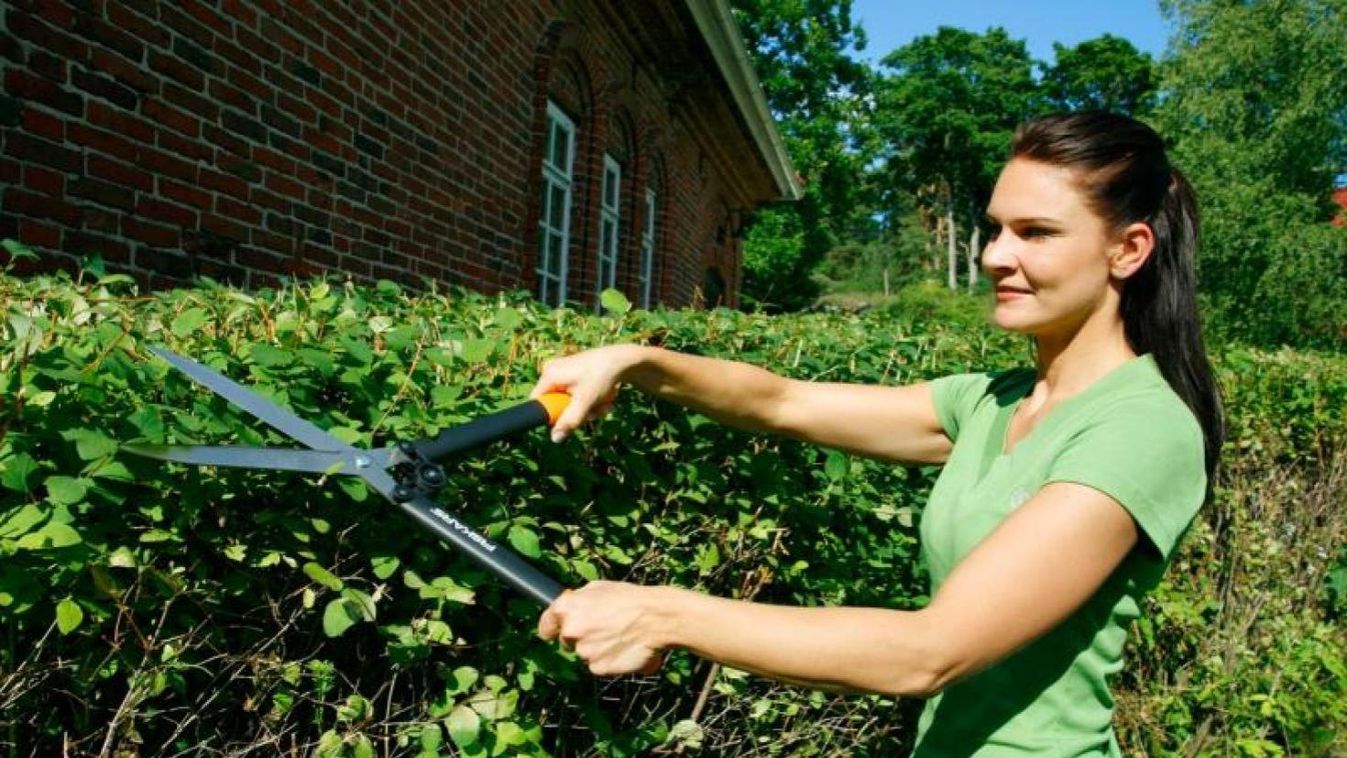 SZON - Munkás hónap a június is