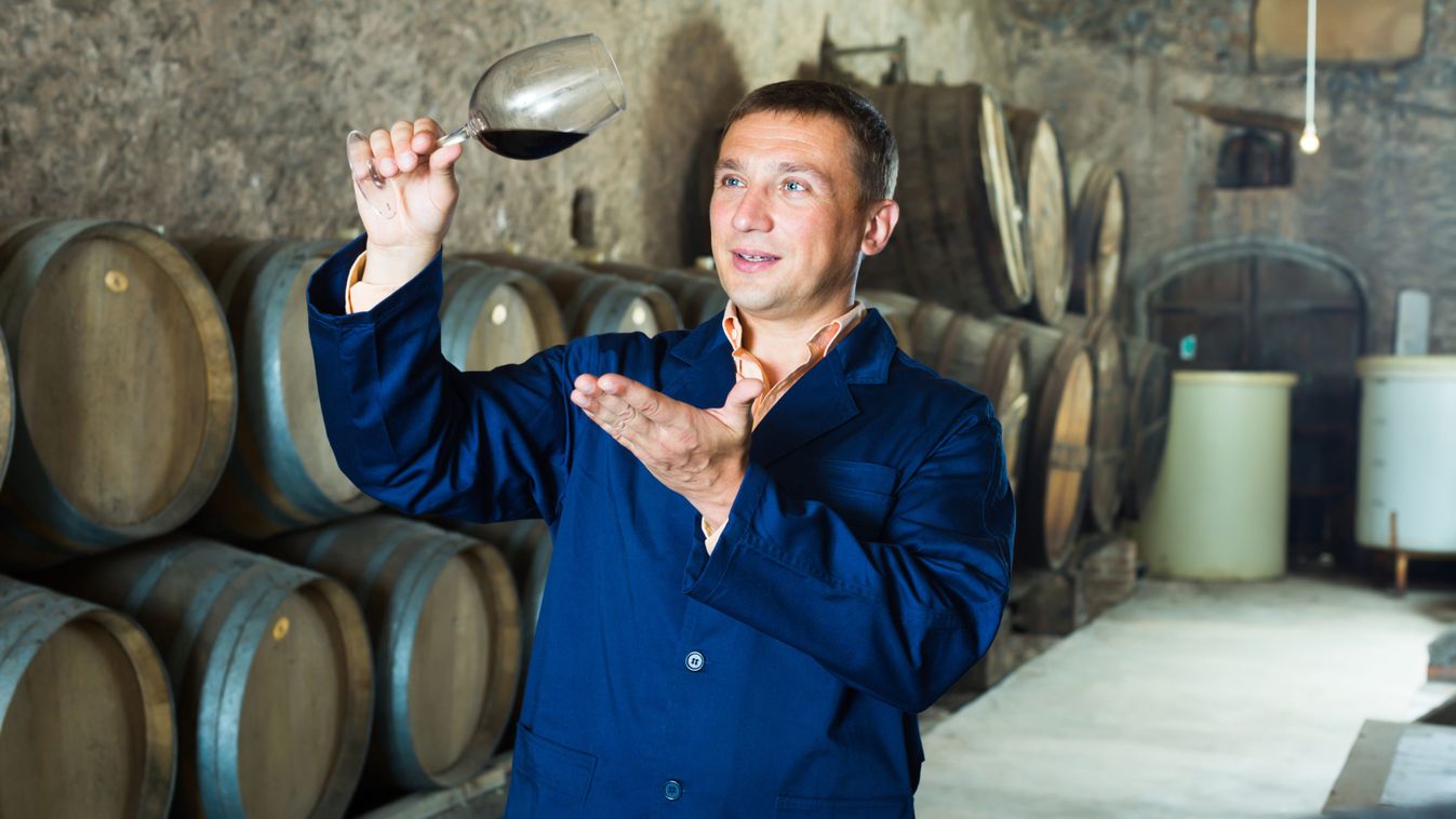 Huszonnégy magyar érem született az idei International Wine Challenge-en