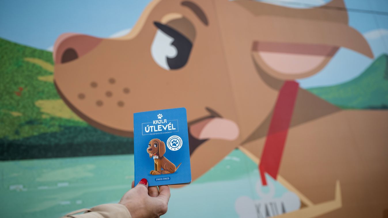 A Kajla-útlevéllel a tavaszi szünetben is ingyen utazhatnak a kisiskolások