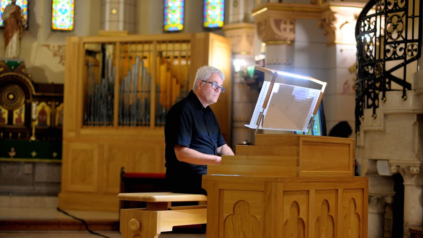 SZON - Orgonák éjszakája