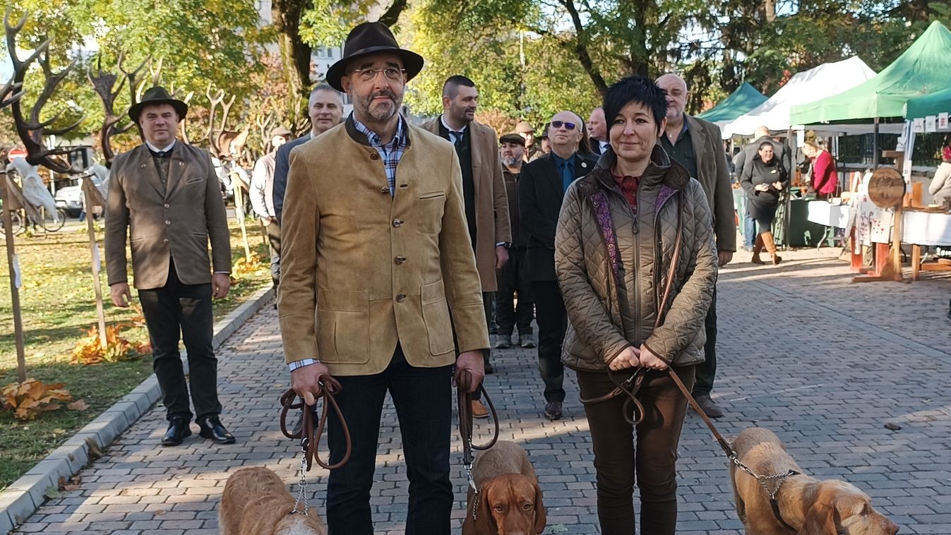 Megállni, megpihenni és számot vetni