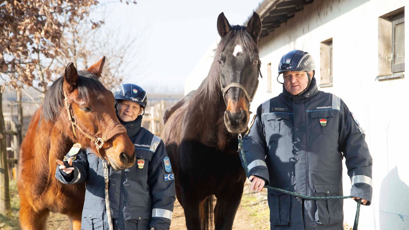 Megtartották rendőrlovaikat