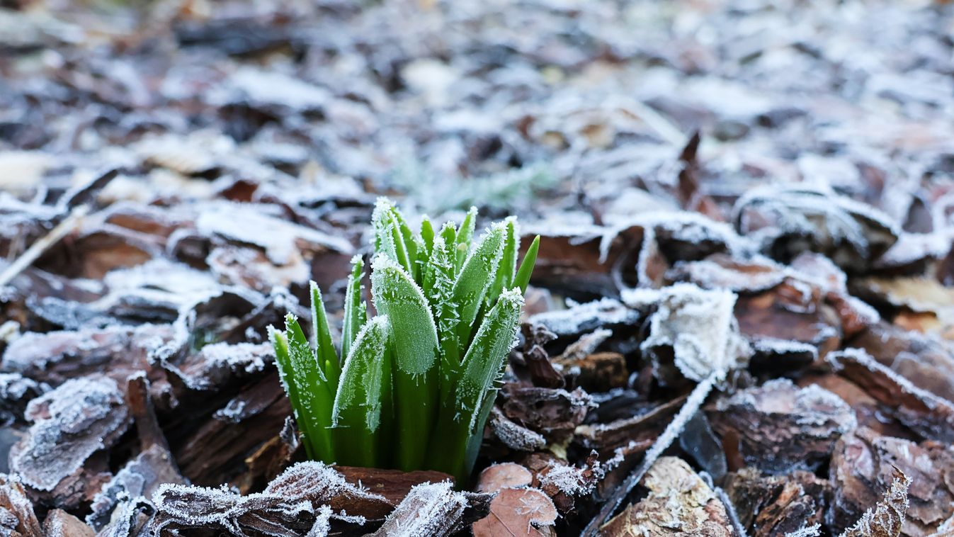 Nagy területen fagy!