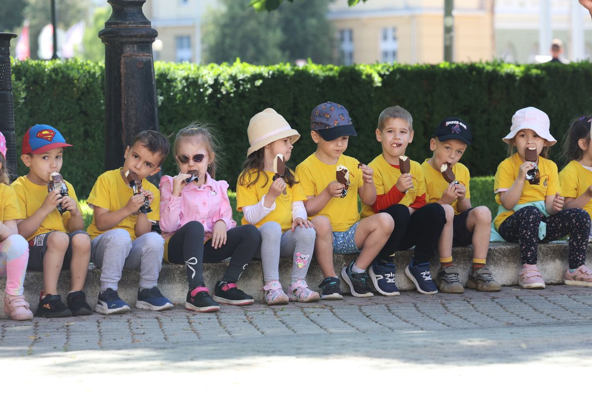 A Rotary Club Nyírség tízezer jégkrémet osztott ki
